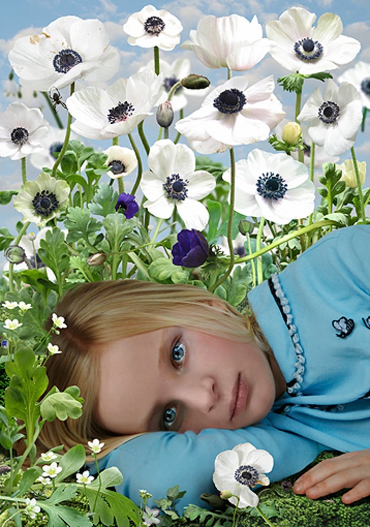 Artist Ruud Van Empel